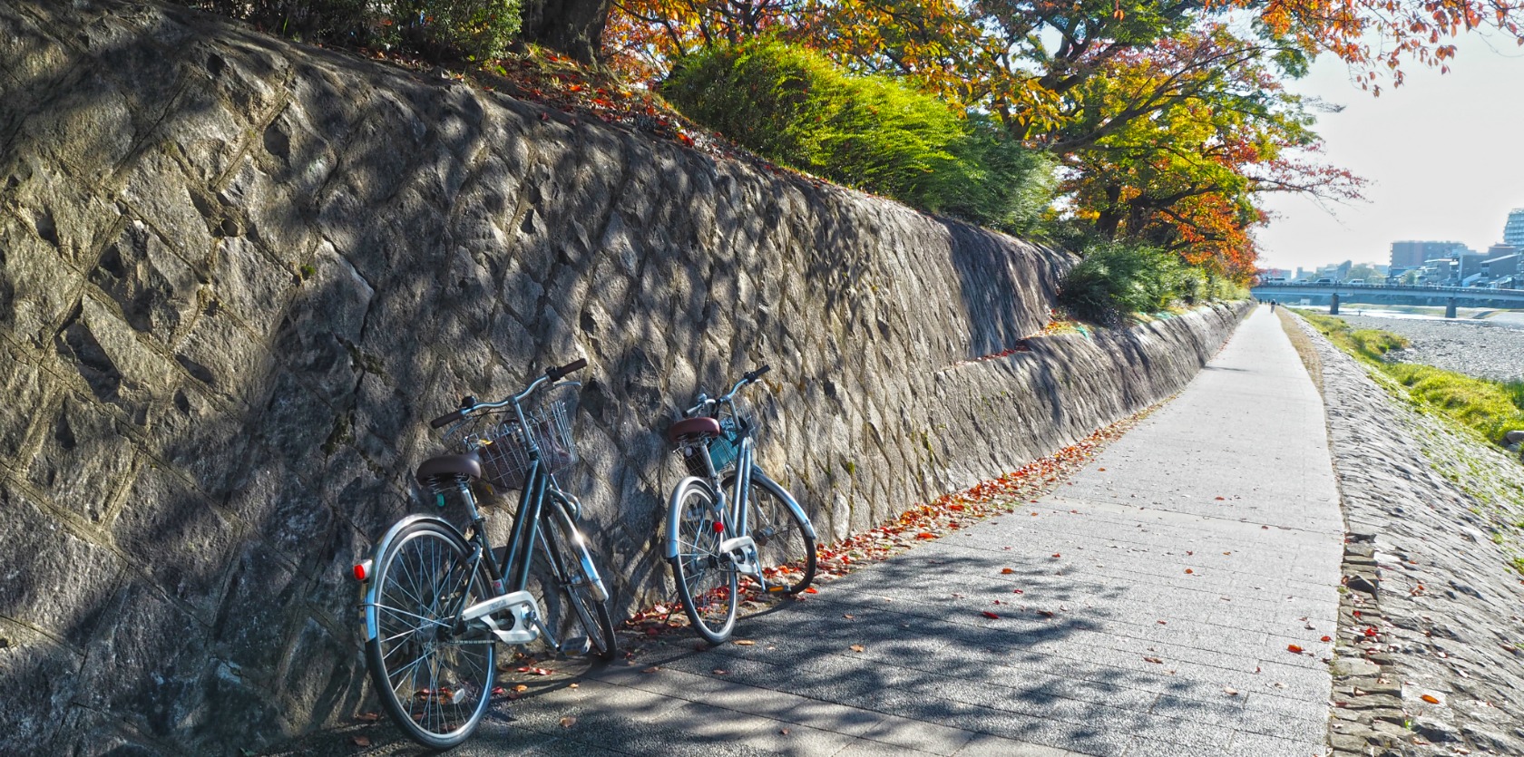 The SMART Ride's Annual Charity Bicycling Event Benefits from Improved ...