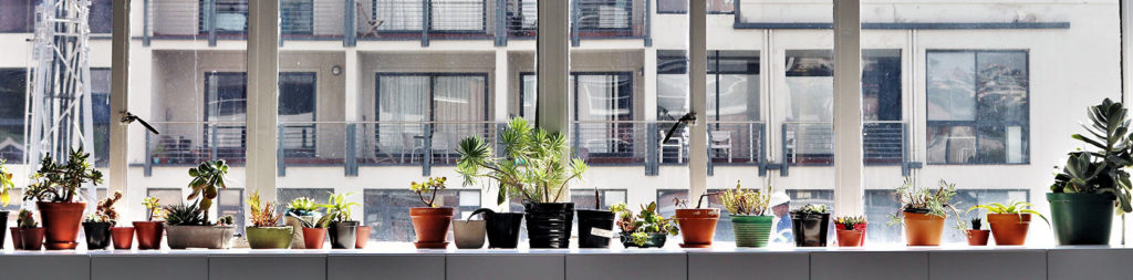 How to Manage and Measure Marketo Engagement Programs