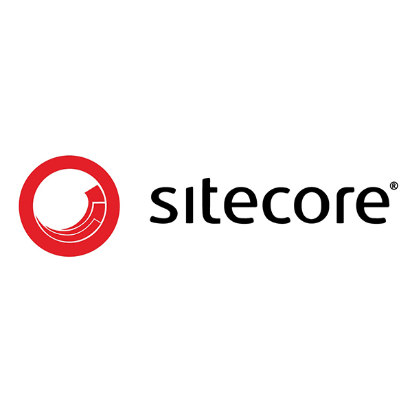 Partners - Centric Consulting