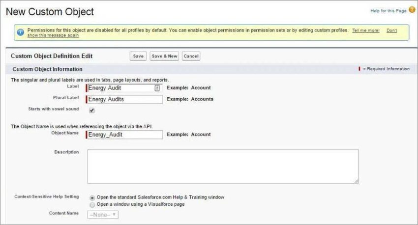 Salesforce Optimization: Get the Most Out of Your Investment